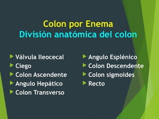 Radiologia de tubo digestivo completo...por fabian gomez valdez | PPT