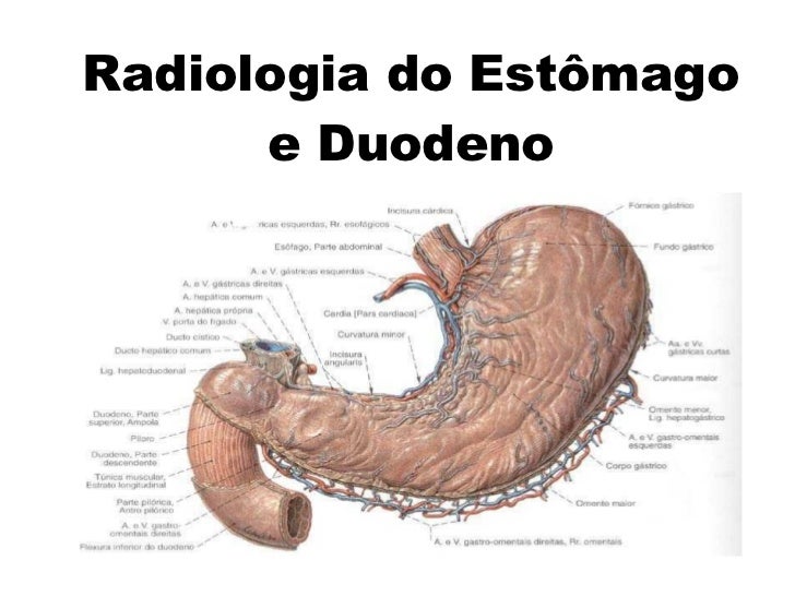 Radiologia do estômago e duodeno