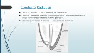RADIOLOGIA EN ENDODONCIA (exámen complementario).pptx
