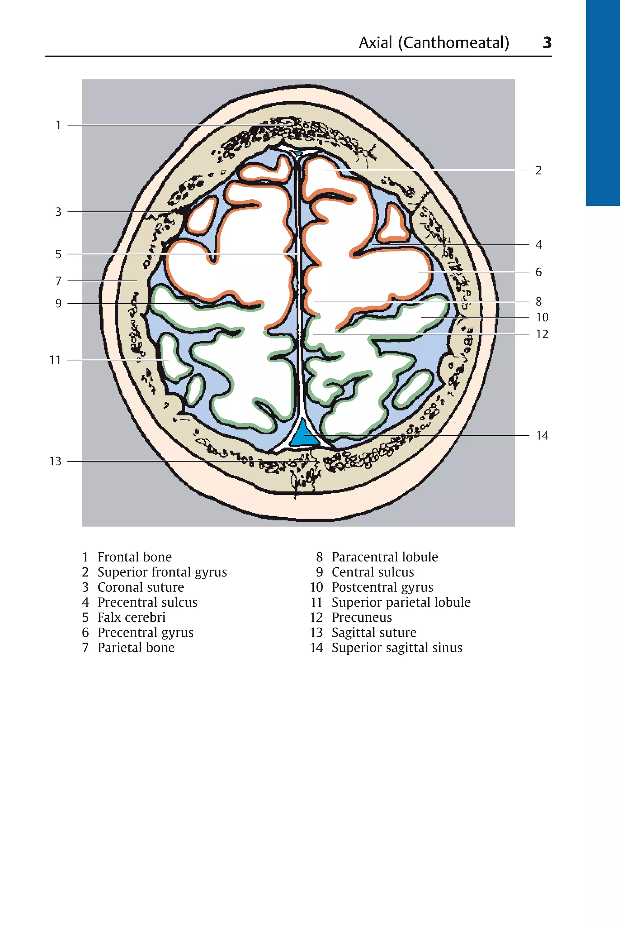 Pocket atlas of sectional anatomy Vol 1-2 | PDF