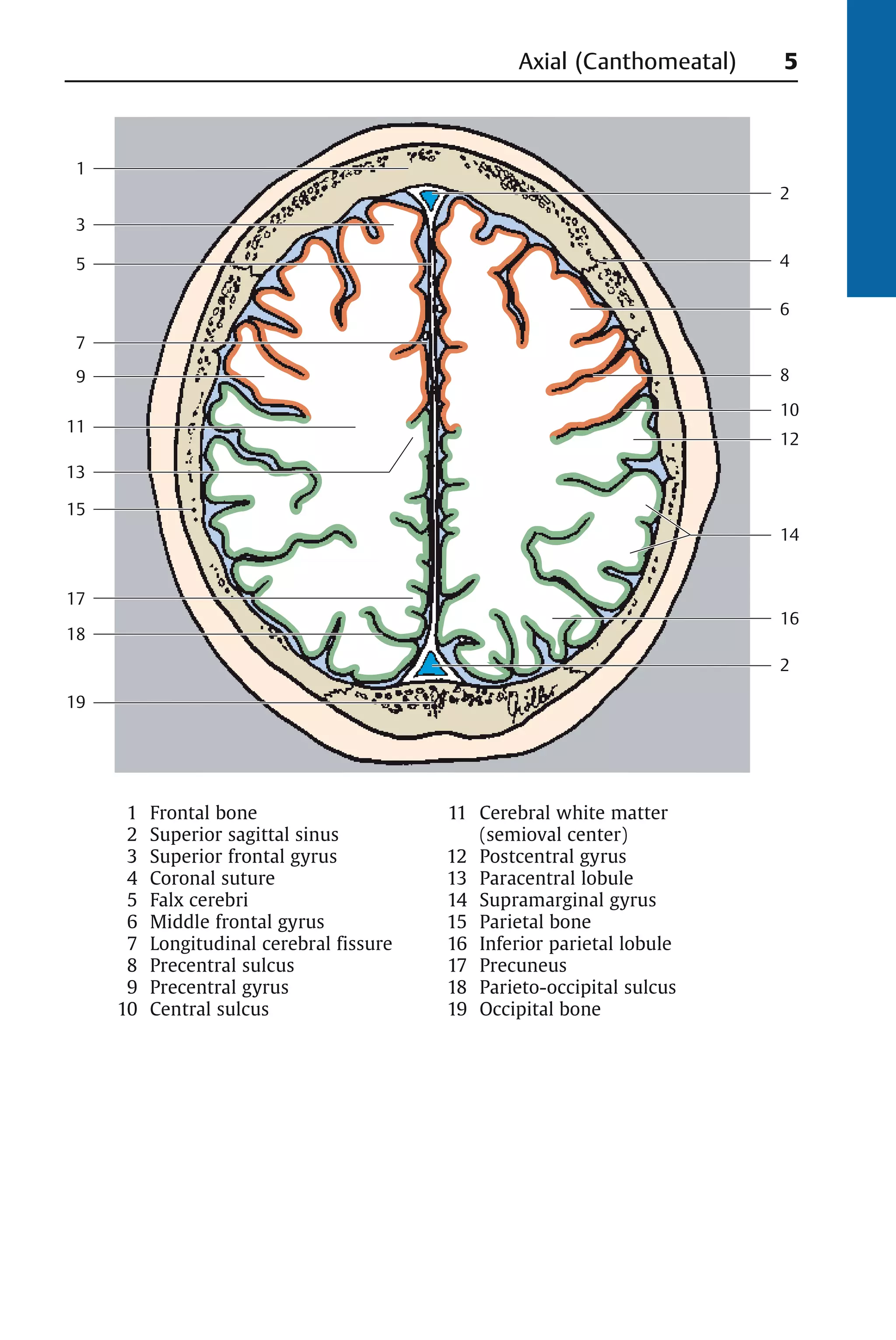 Pocket atlas of sectional anatomy Vol 1-2 | PDF