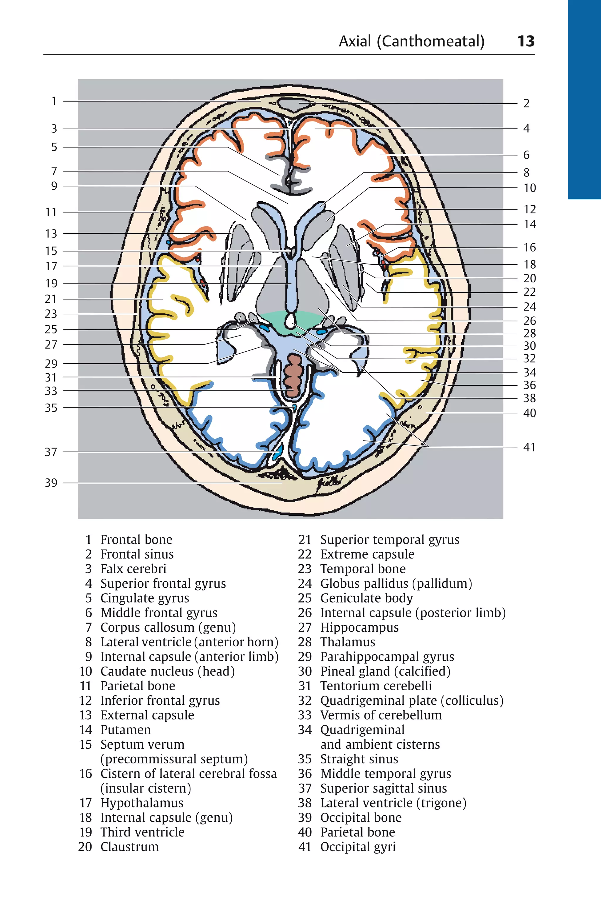 Pocket atlas of sectional anatomy Vol 1-2 | PDF