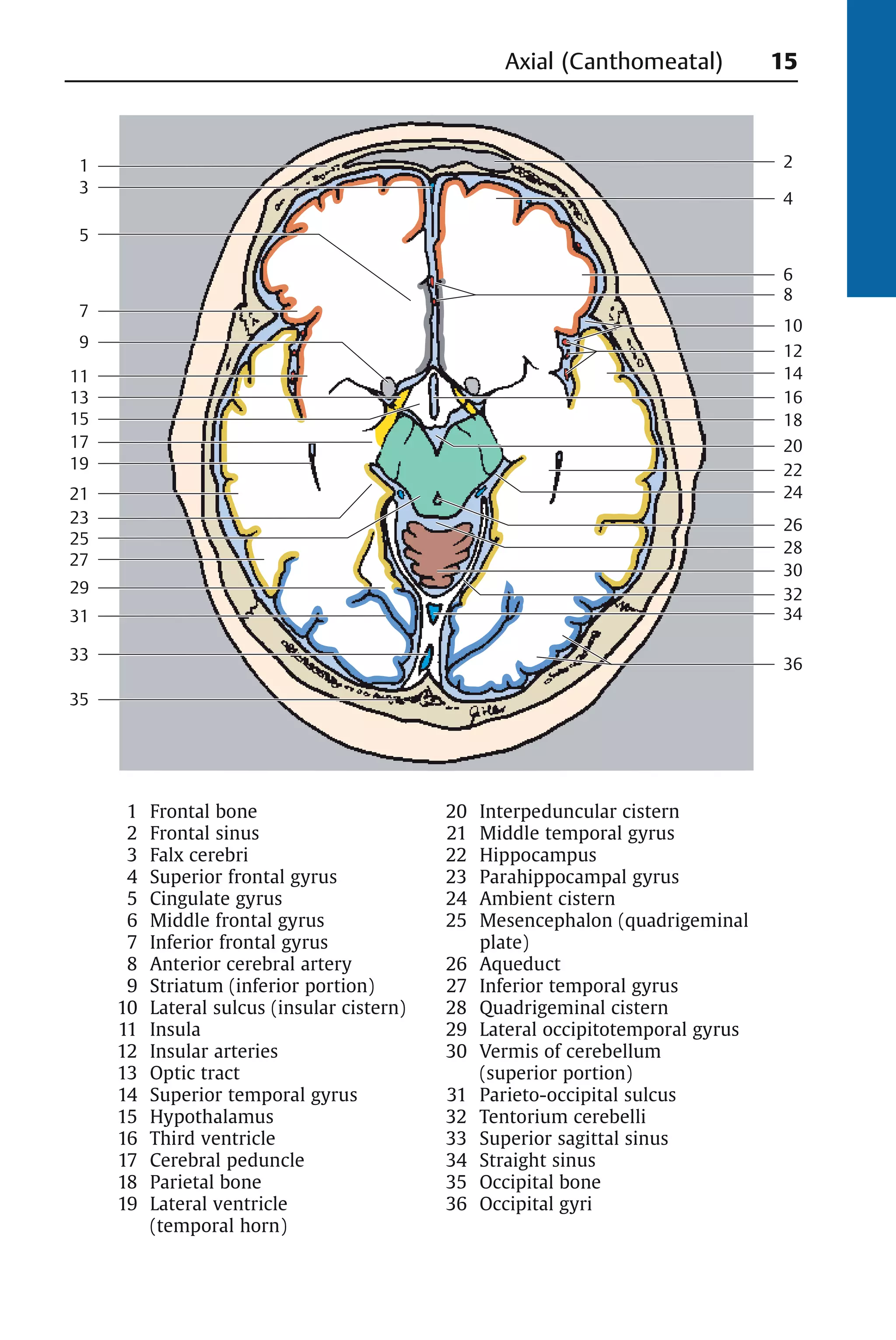 Pocket atlas of sectional anatomy Vol 1-2 | PDF