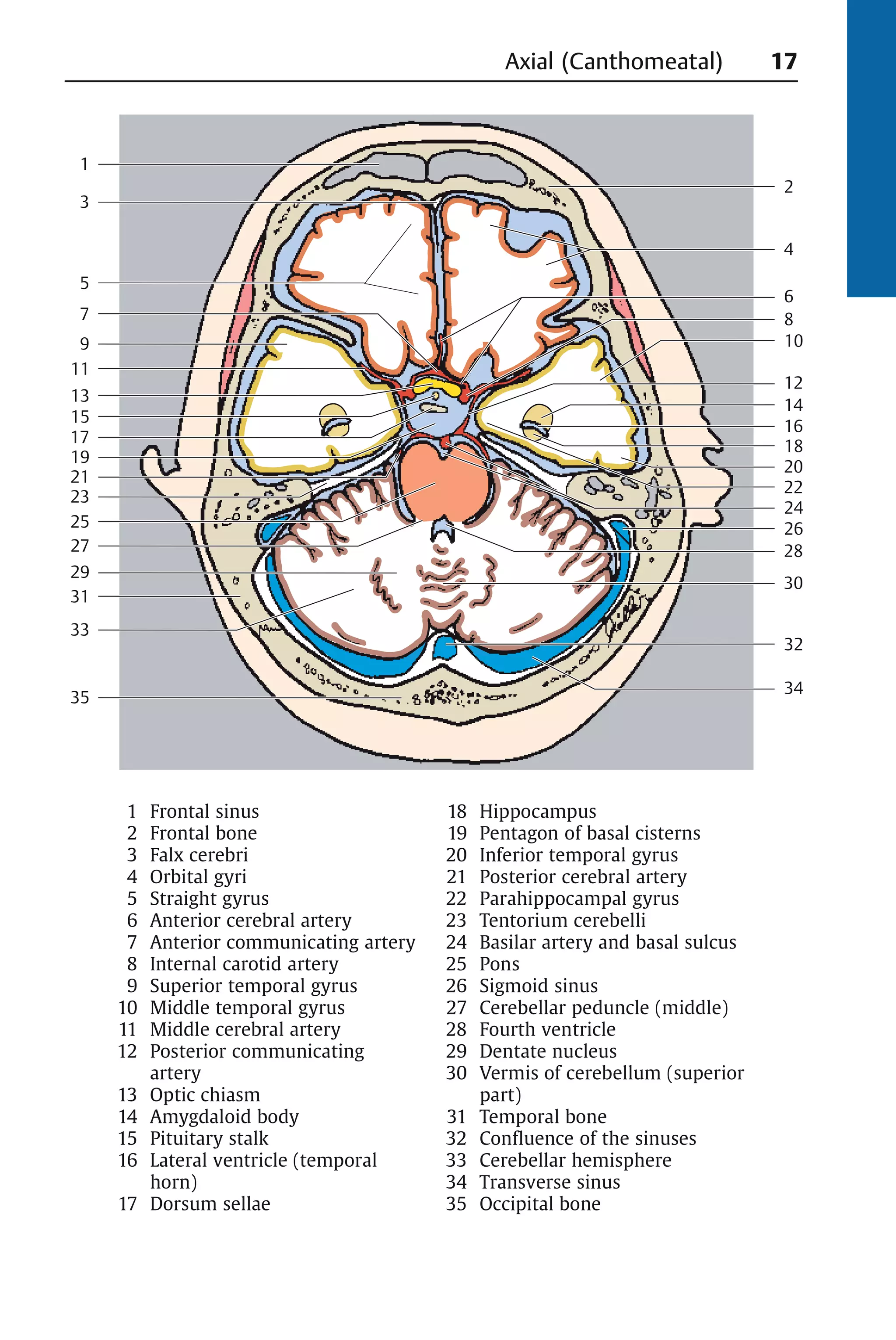 Pocket atlas of sectional anatomy Vol 1-2 | PDF