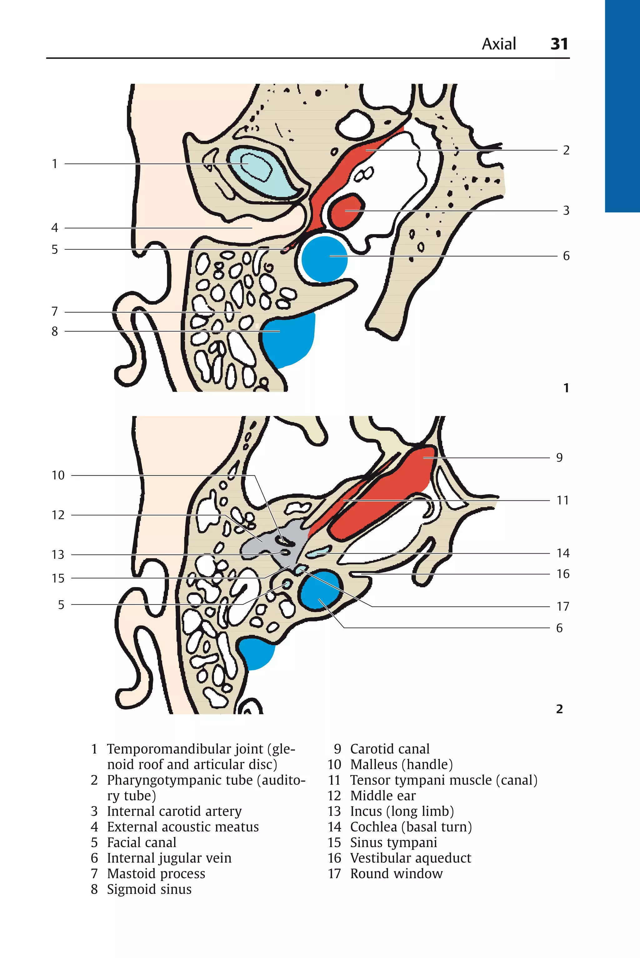 Pocket atlas of sectional anatomy Vol 1-2 | PDF