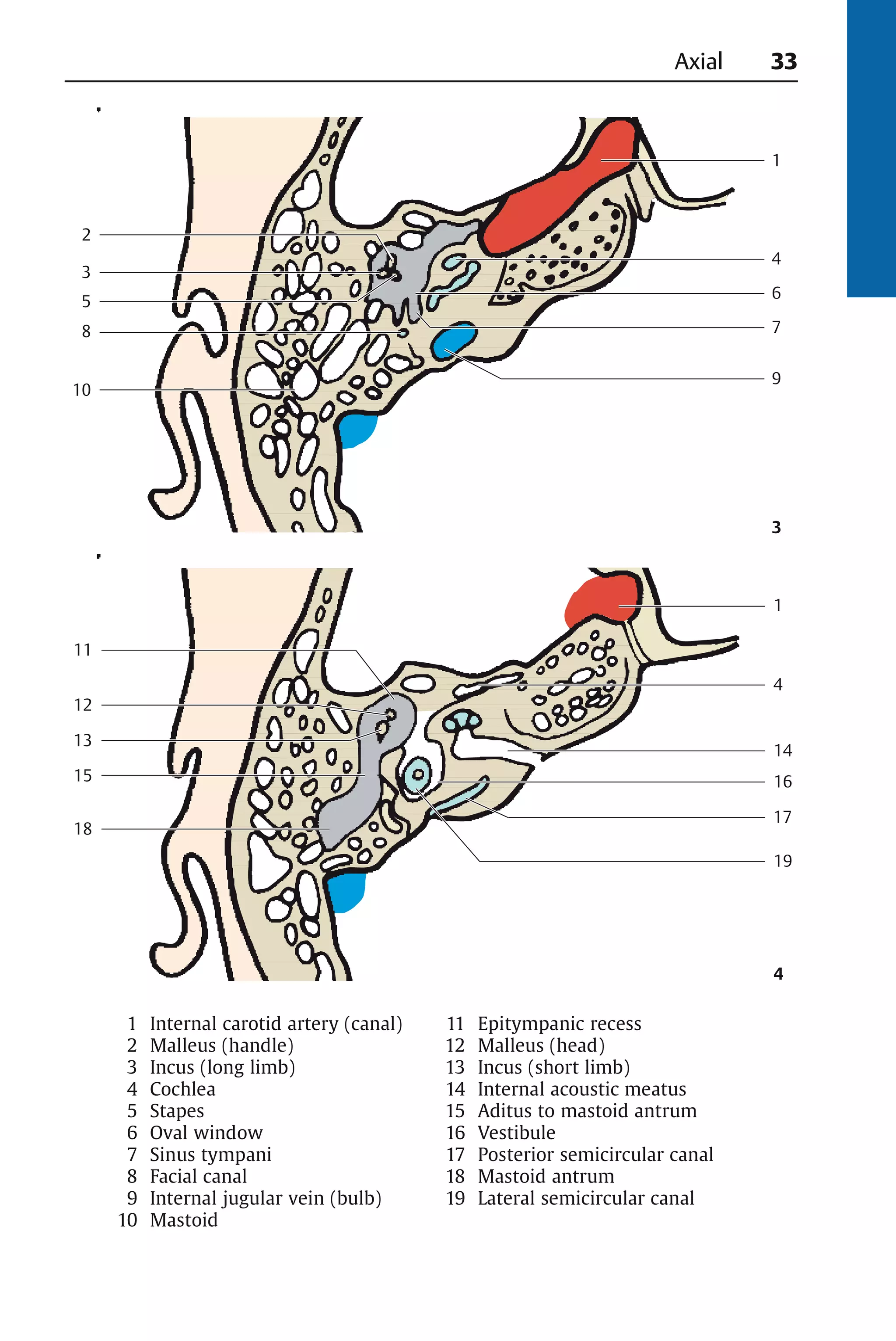 Pocket atlas of sectional anatomy Vol 1-2 | PDF