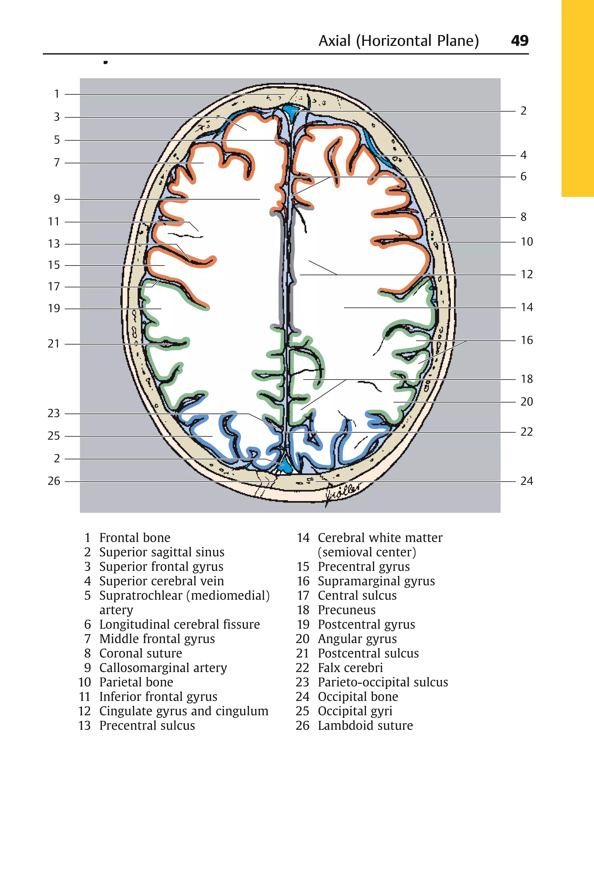 Pocket atlas of sectional anatomy Vol 1-2 | PDF
