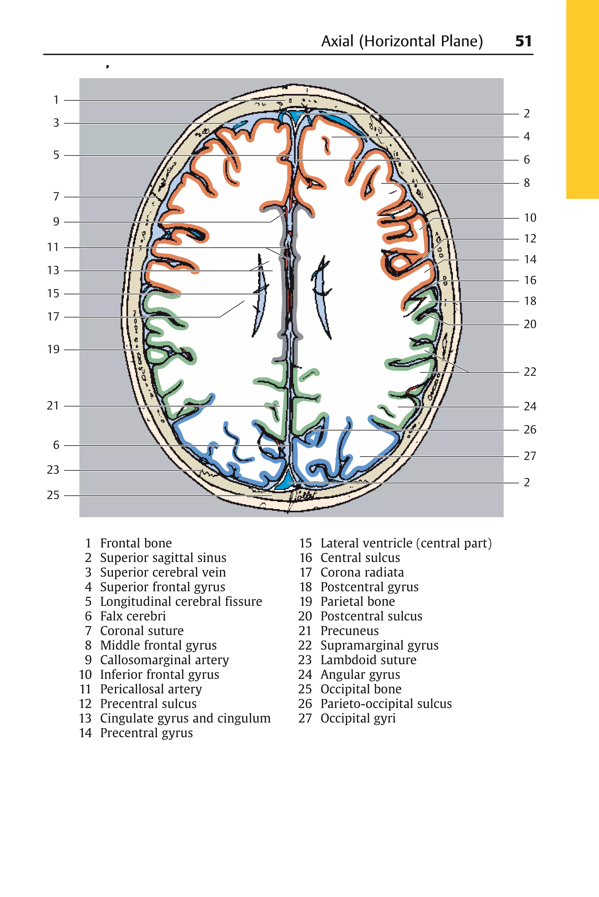 Pocket atlas of sectional anatomy Vol 1-2 | PDF