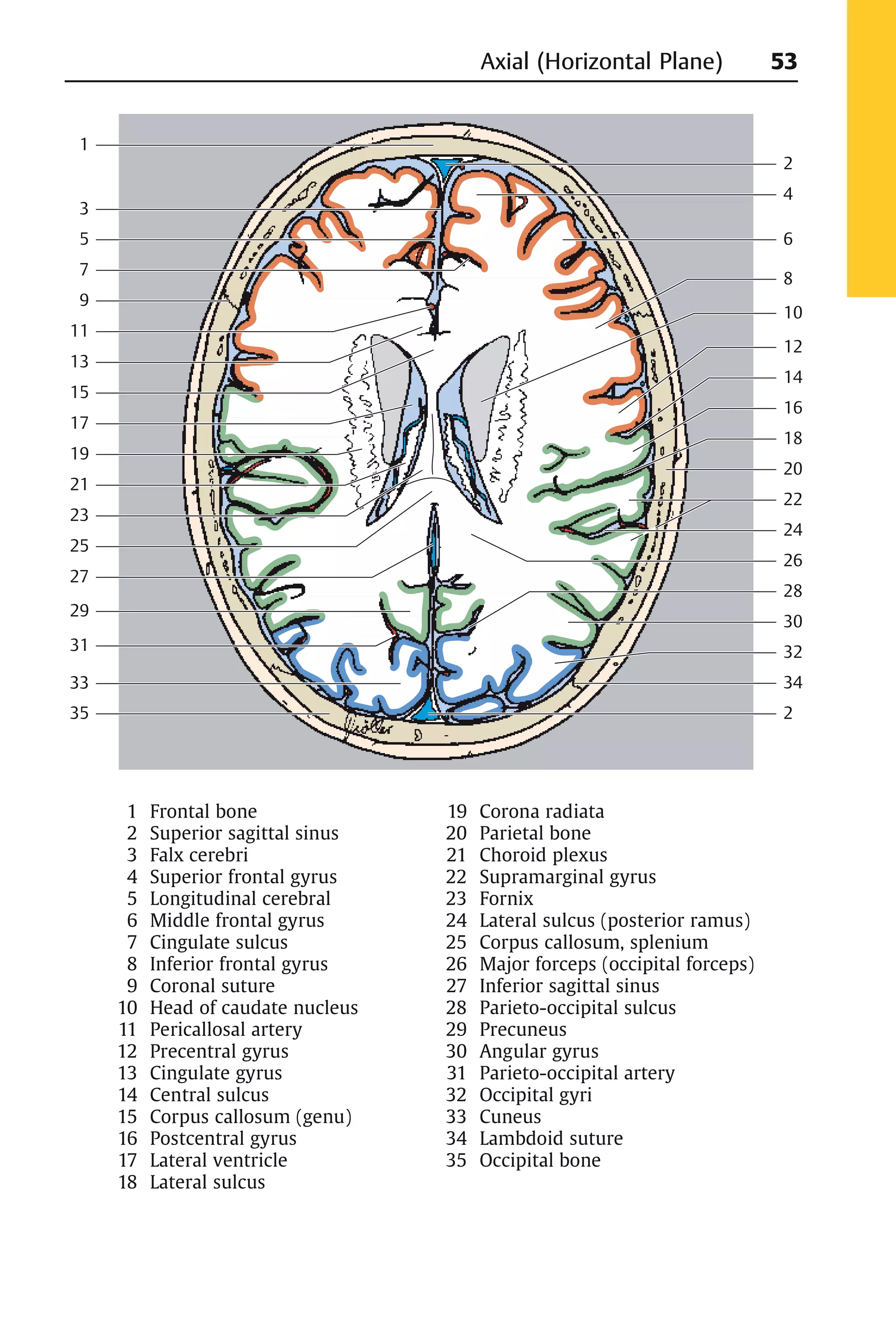 Pocket atlas of sectional anatomy Vol 1-2 | PDF