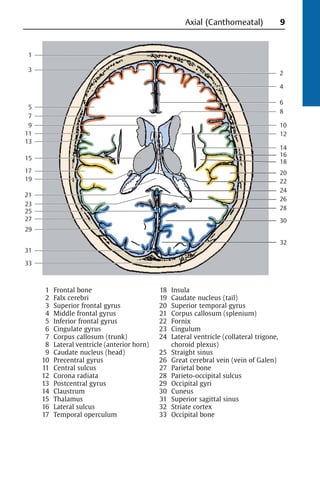 Pocket atlas of sectional anatomy Vol 1-2 | PDF
