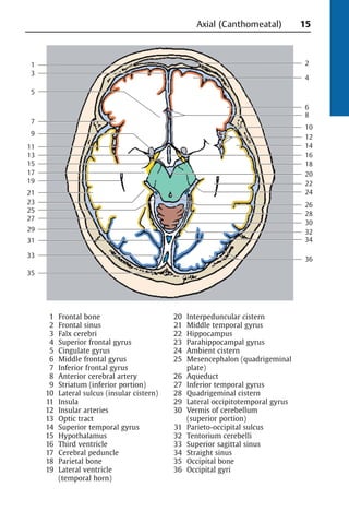 Pocket atlas of sectional anatomy Vol 1-2 | PDF