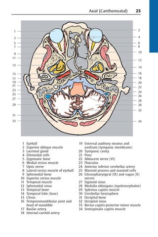 Pocket atlas of sectional anatomy Vol 1-2 | PDF