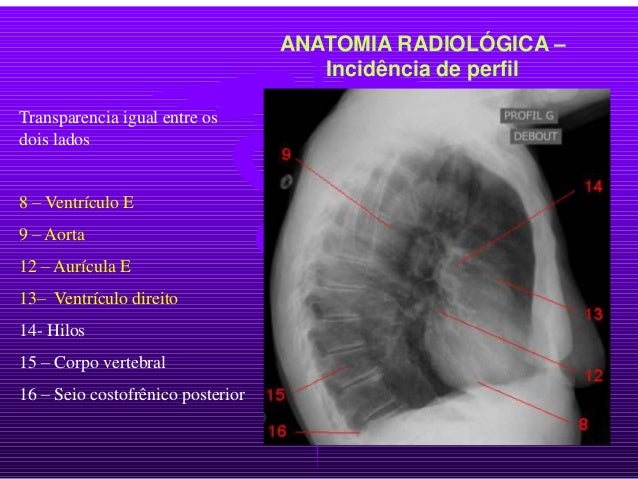 Radiologia propedeutica 2015 2 sem