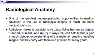 Radiological anatomy | PPTX