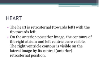 RADIOLOGICAL ANATOMY AND PATHOLOGY OF THORAX.pdf