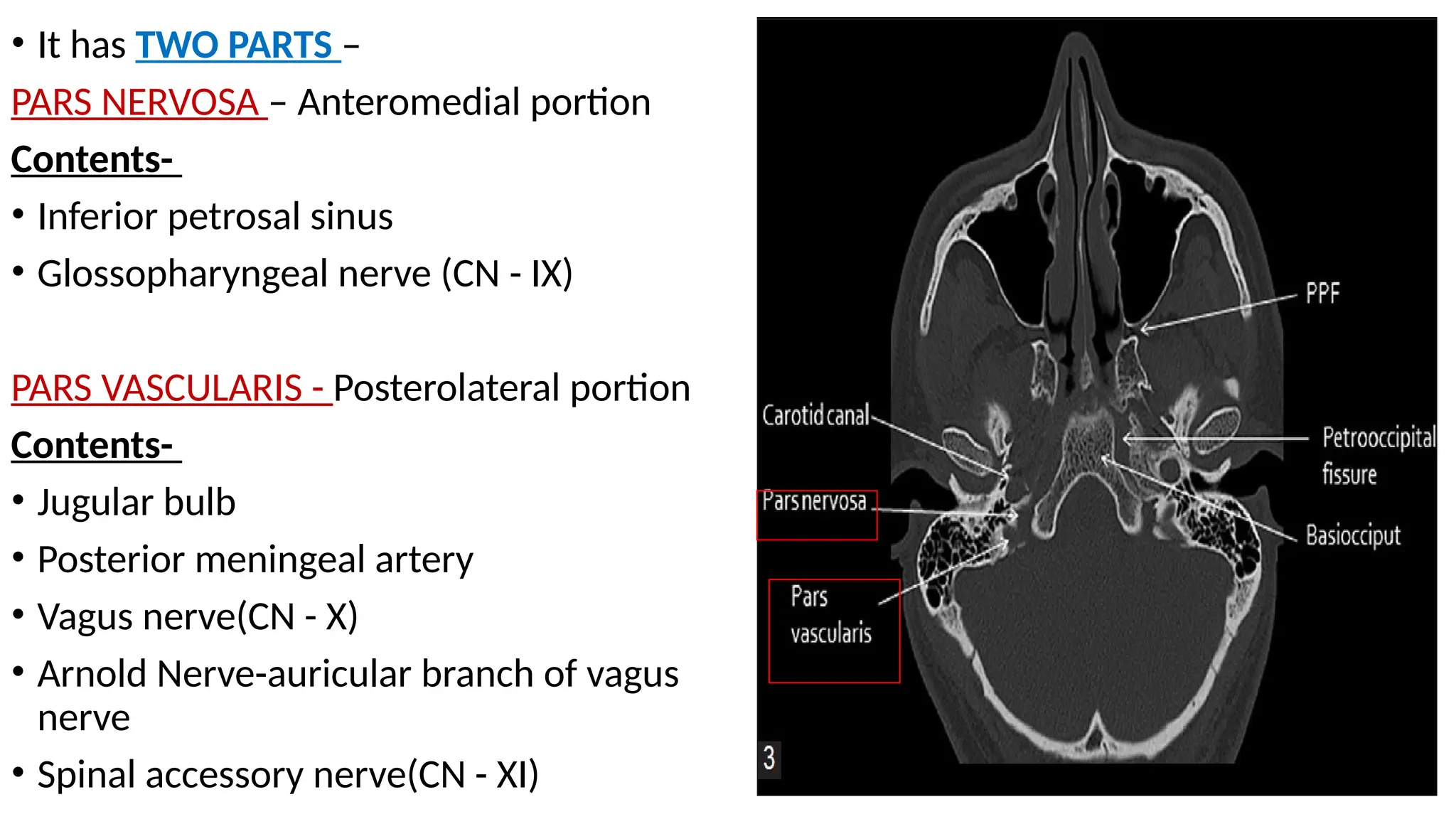 Radiological anatomy of base of the skull and craniovertevral junction ...