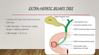 Radiological anatomy of biliary system | PPTX