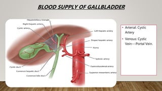 Radiological anatomy of biliary system | PPTX