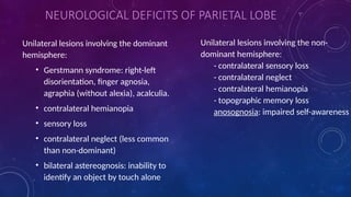 RADIOLOGICAL ANATOMY OF BRAIN.pptx………….. | PPTX