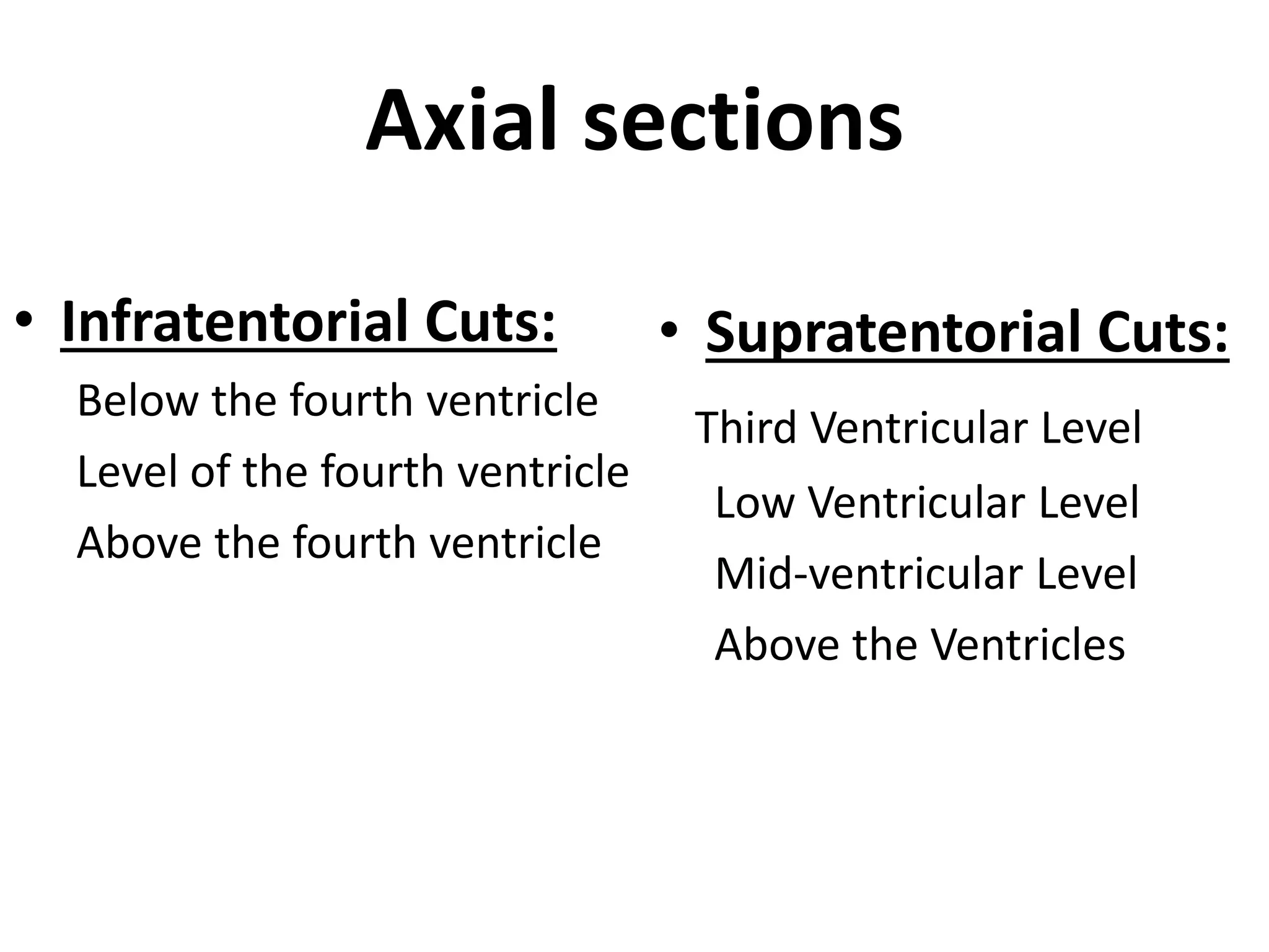 CT and MRI anatomy of brain | PDF