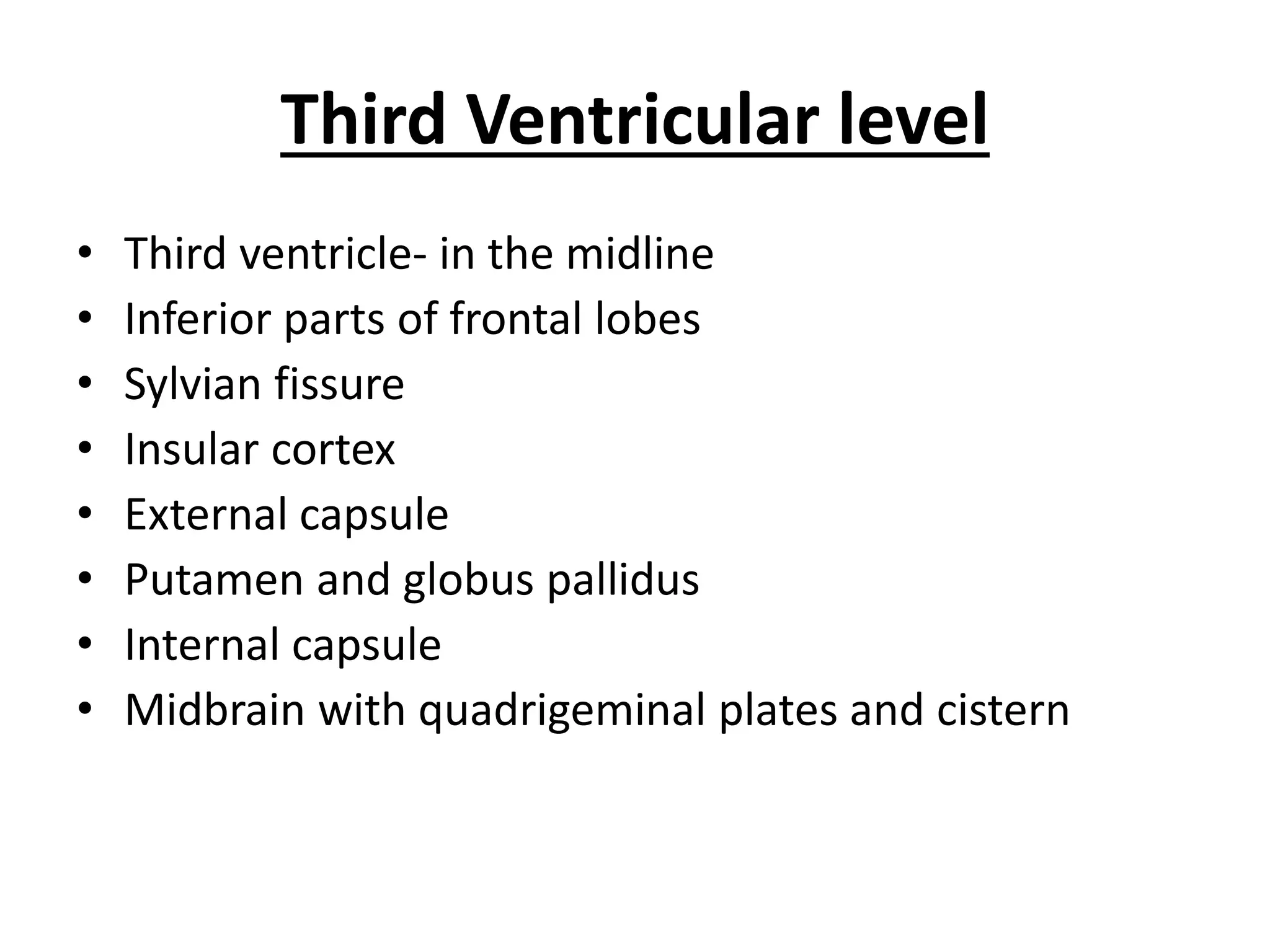 CT and MRI anatomy of brain | PDF
