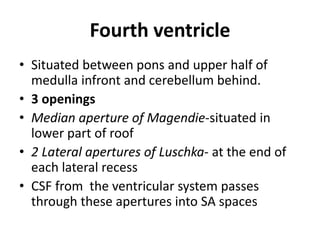 CT and MRI anatomy of brain | PPT