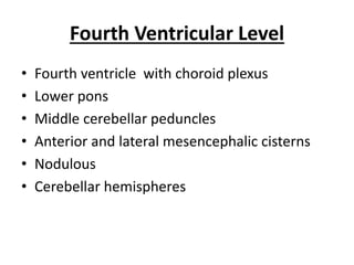 CT and MRI anatomy of brain | PPT