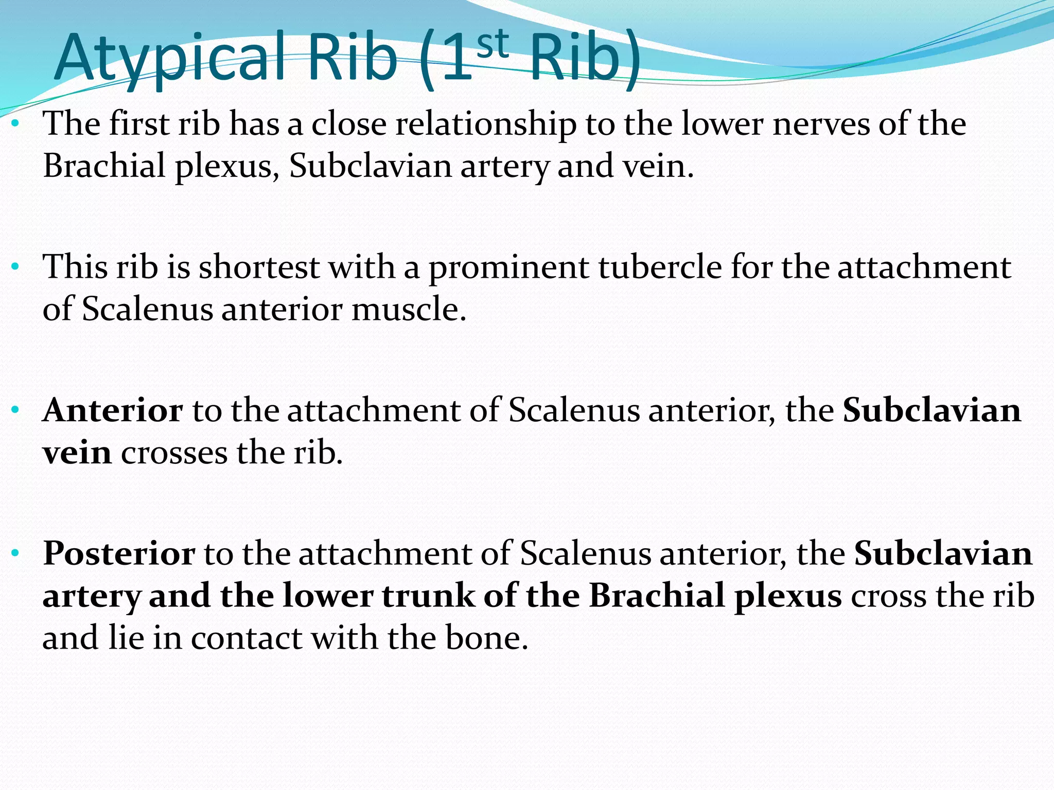 Radiological anatomy of chest including lungs,mediastinum and thoracic ...