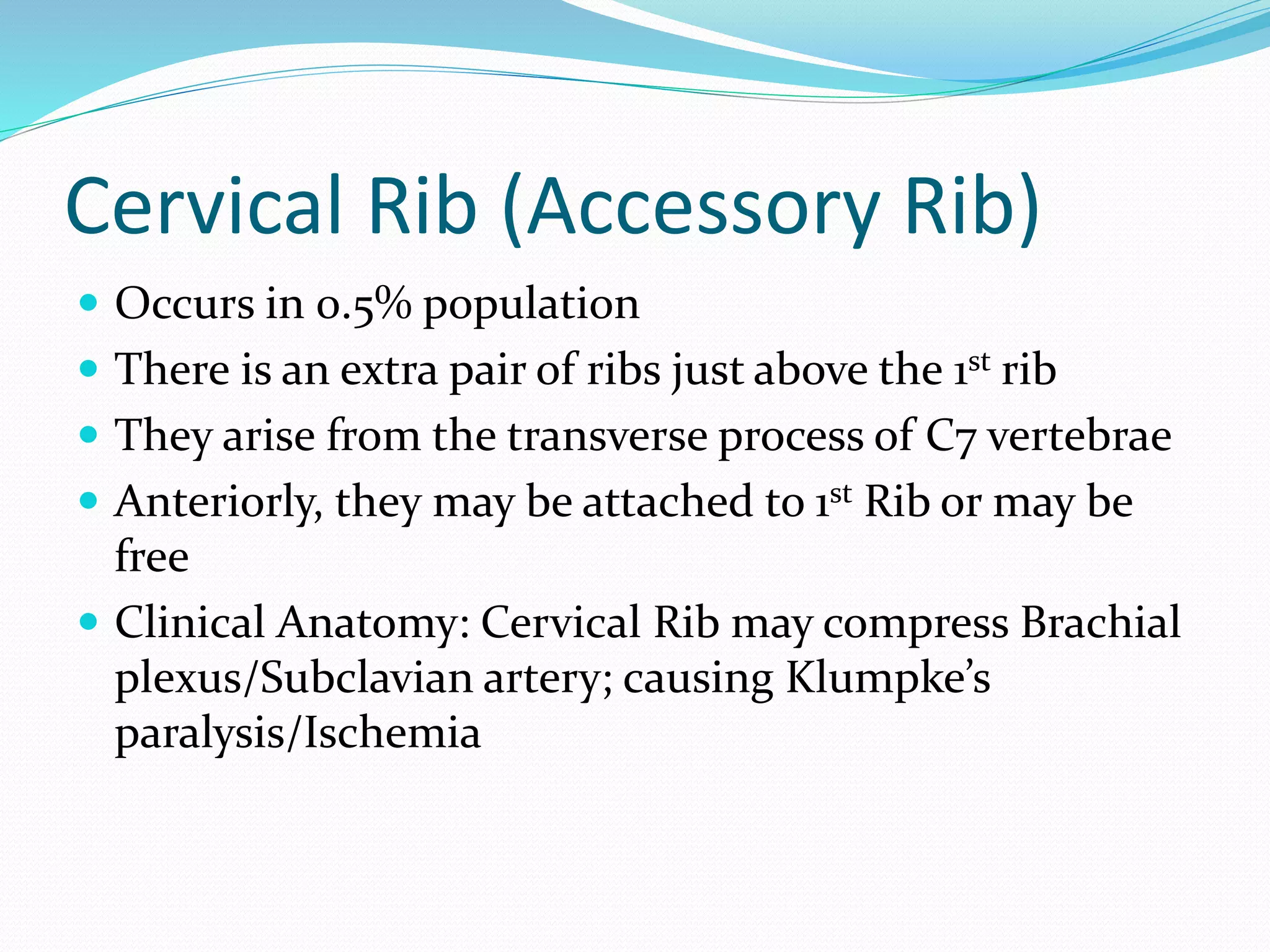 Radiological anatomy of chest including lungs,mediastinum and thoracic ...