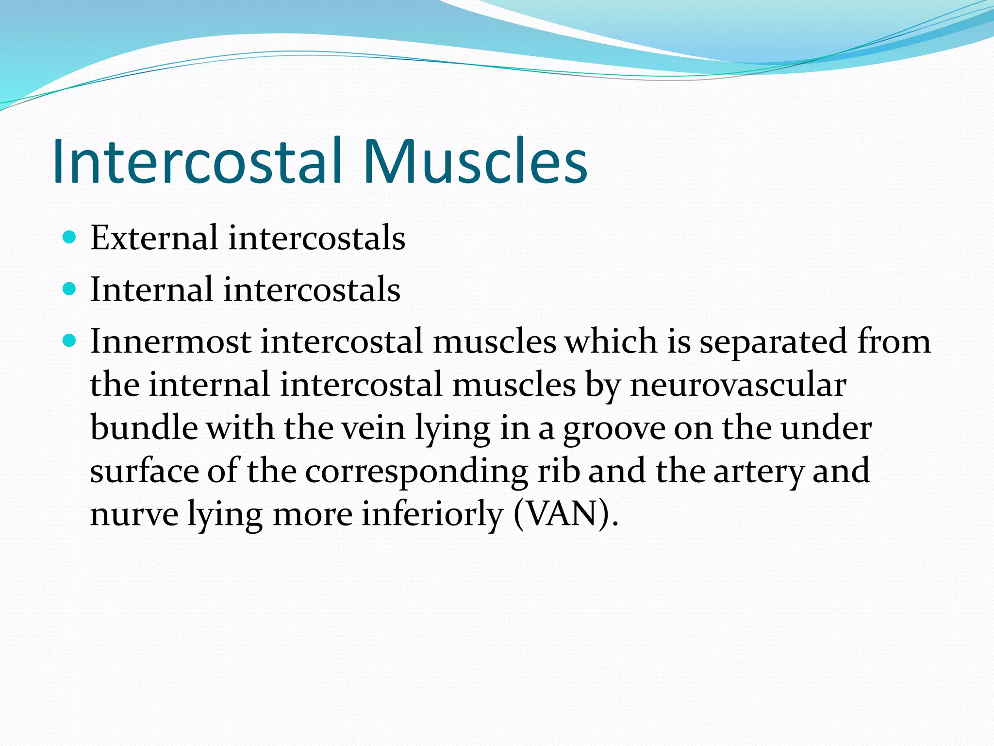 Radiological anatomy of chest including lungs,mediastinum and thoracic ...
