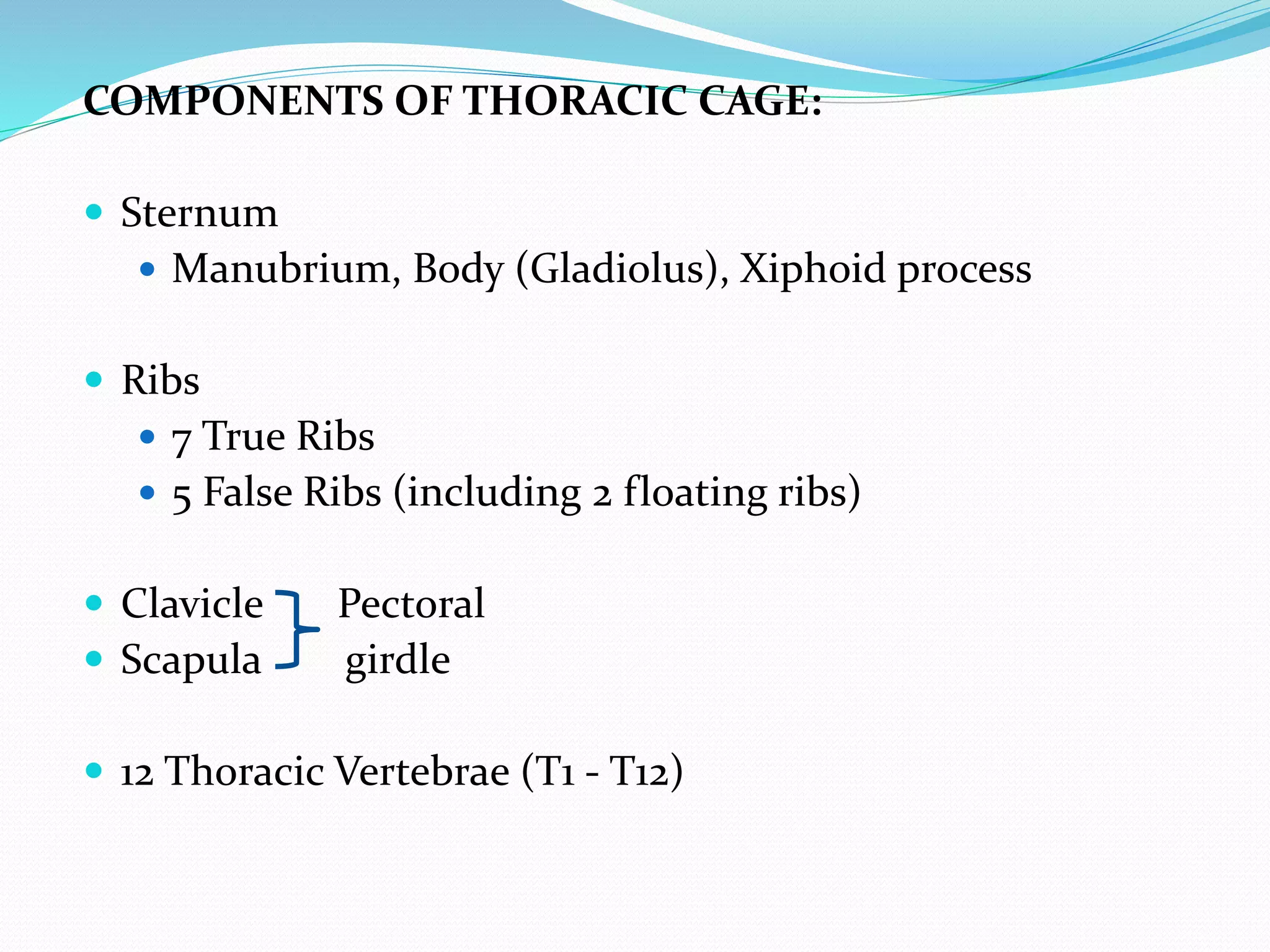 Radiological anatomy of chest including lungs,mediastinum and thoracic ...