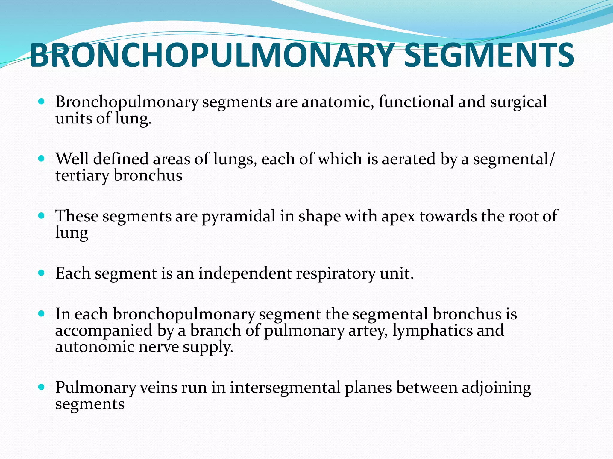 Radiological anatomy of chest including lungs,mediastinum and thoracic ...