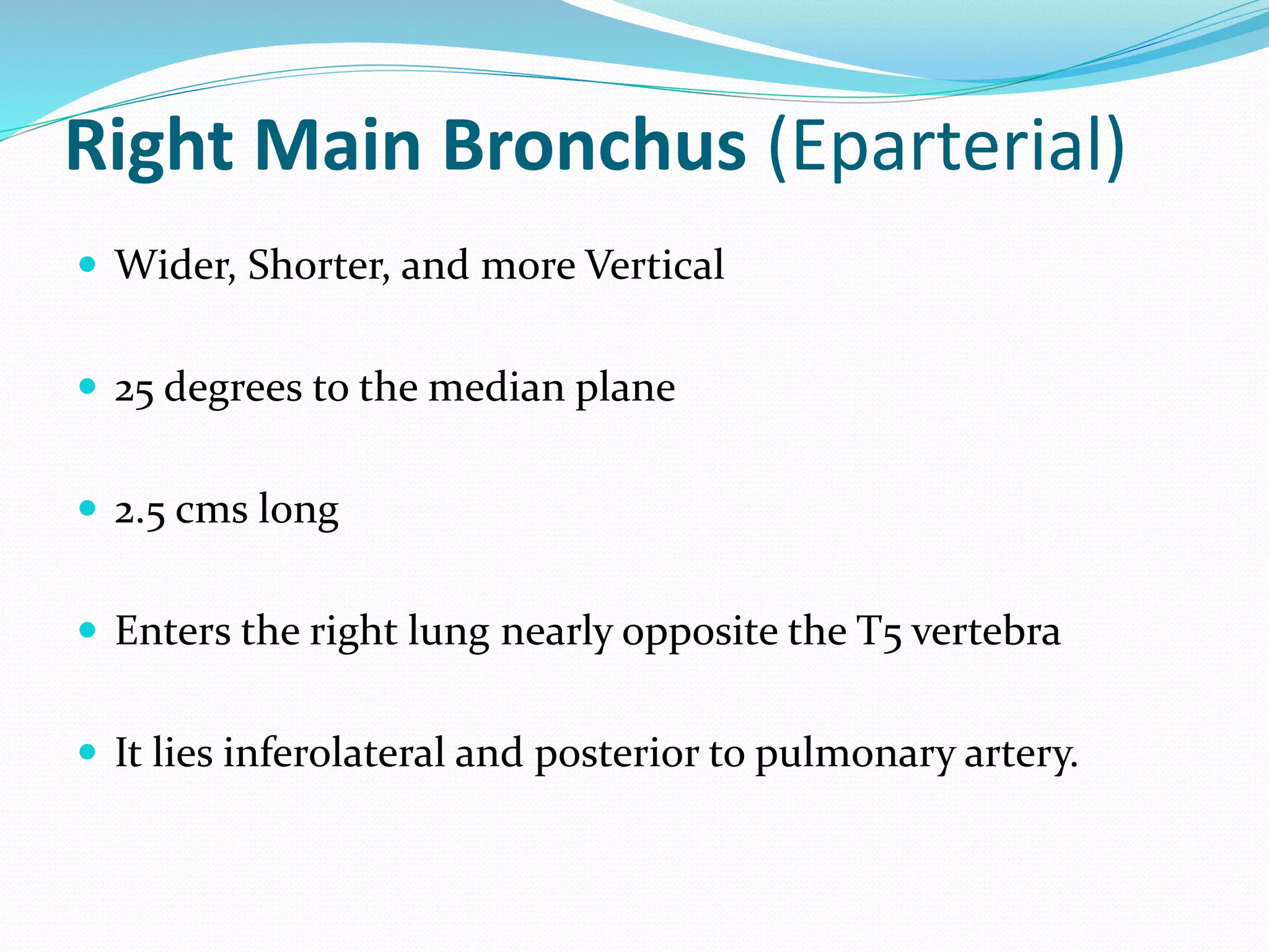 Radiological anatomy of chest including lungs,mediastinum and thoracic ...