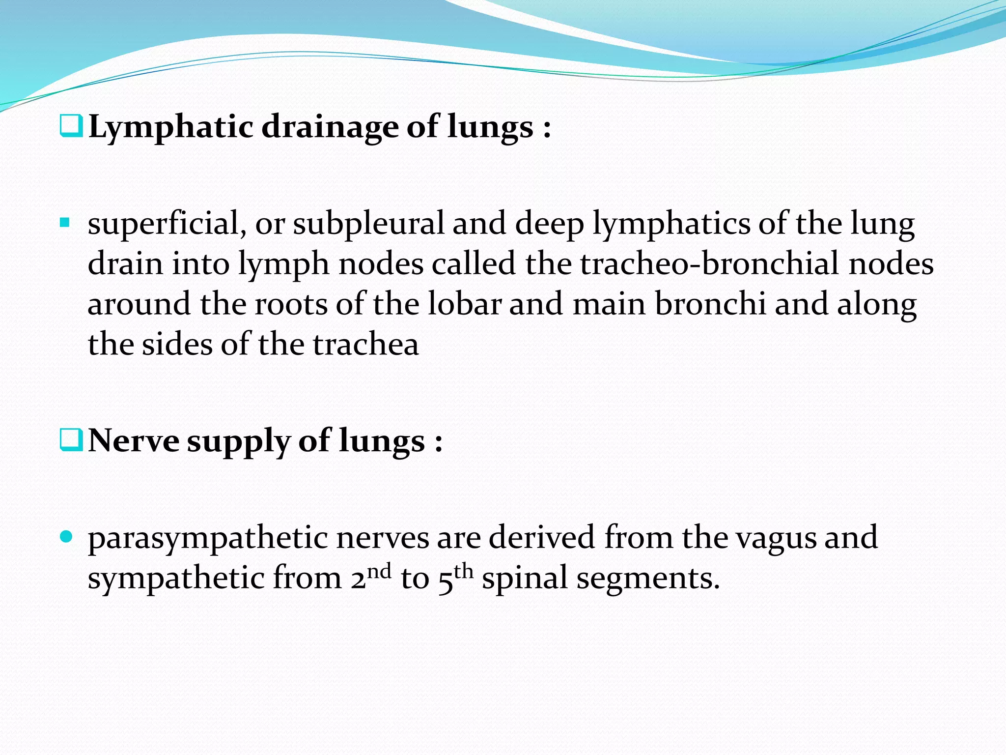 Radiological anatomy of chest including lungs,mediastinum and thoracic ...