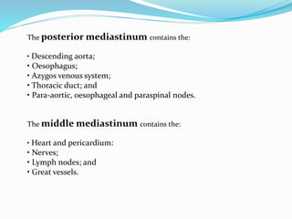 Radiological anatomy of chest including lungs,mediastinum and thoracic ...