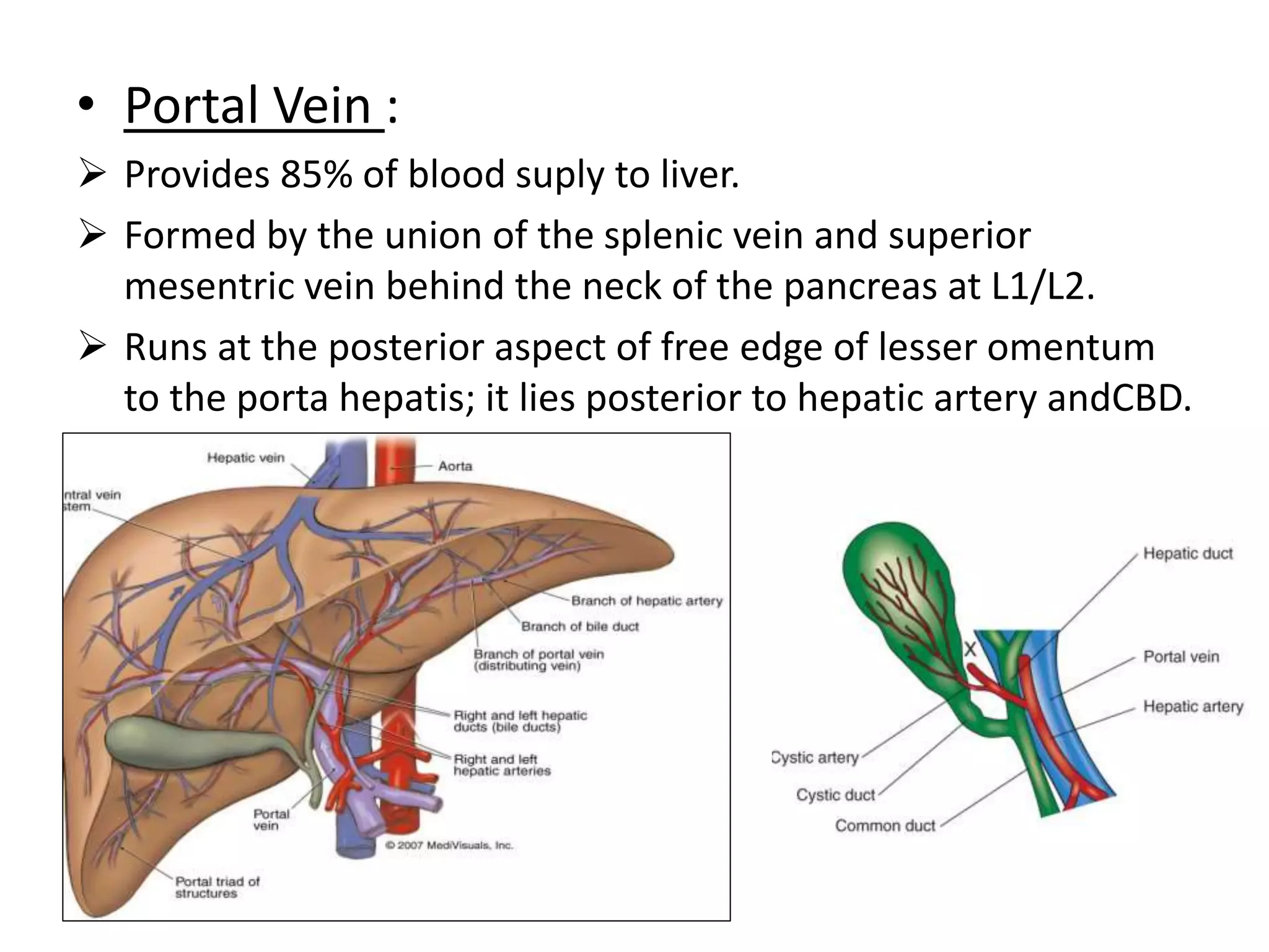 Radiological anatomy of hepatobiliary system | PPTX