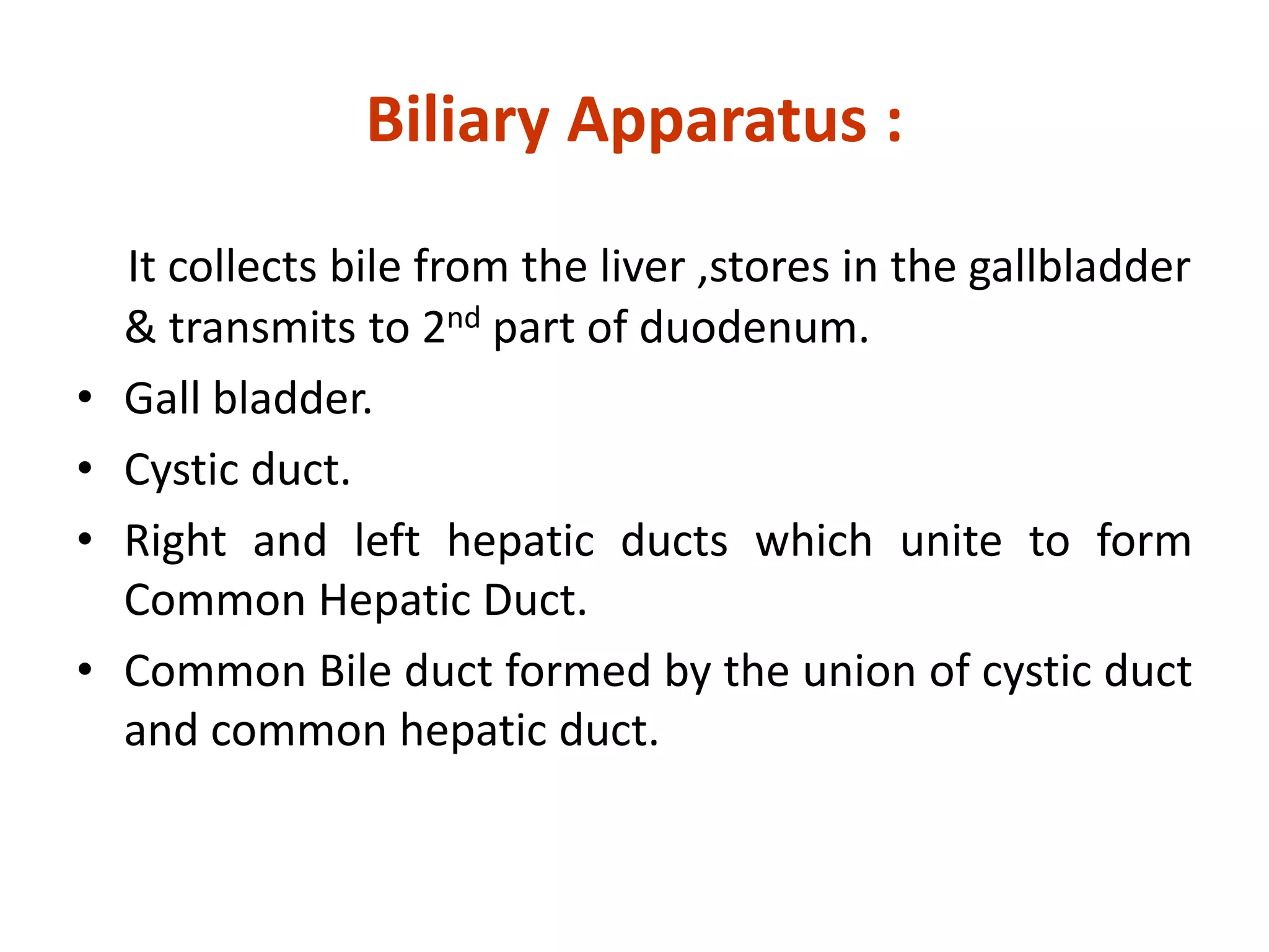 Radiological anatomy of hepatobiliary system | PPTX