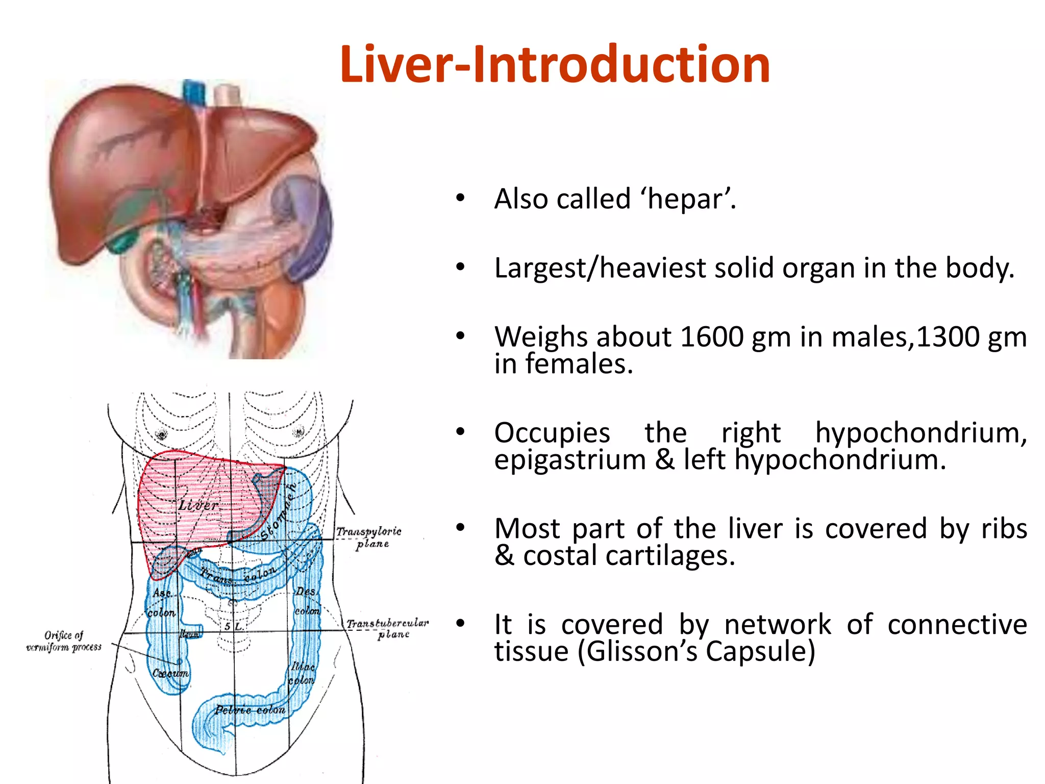 Radiological anatomy of hepatobiliary system | PPTX