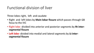 Radiological anatomy of hepatobiliary system | PPTX