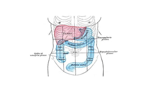 Radiological anatomy of hepatobiliary system | PPTX