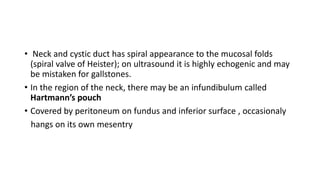 Radiological anatomy of hepatobiliary system | PPTX