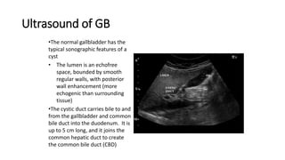 Radiological anatomy of hepatobiliary system | PPTX