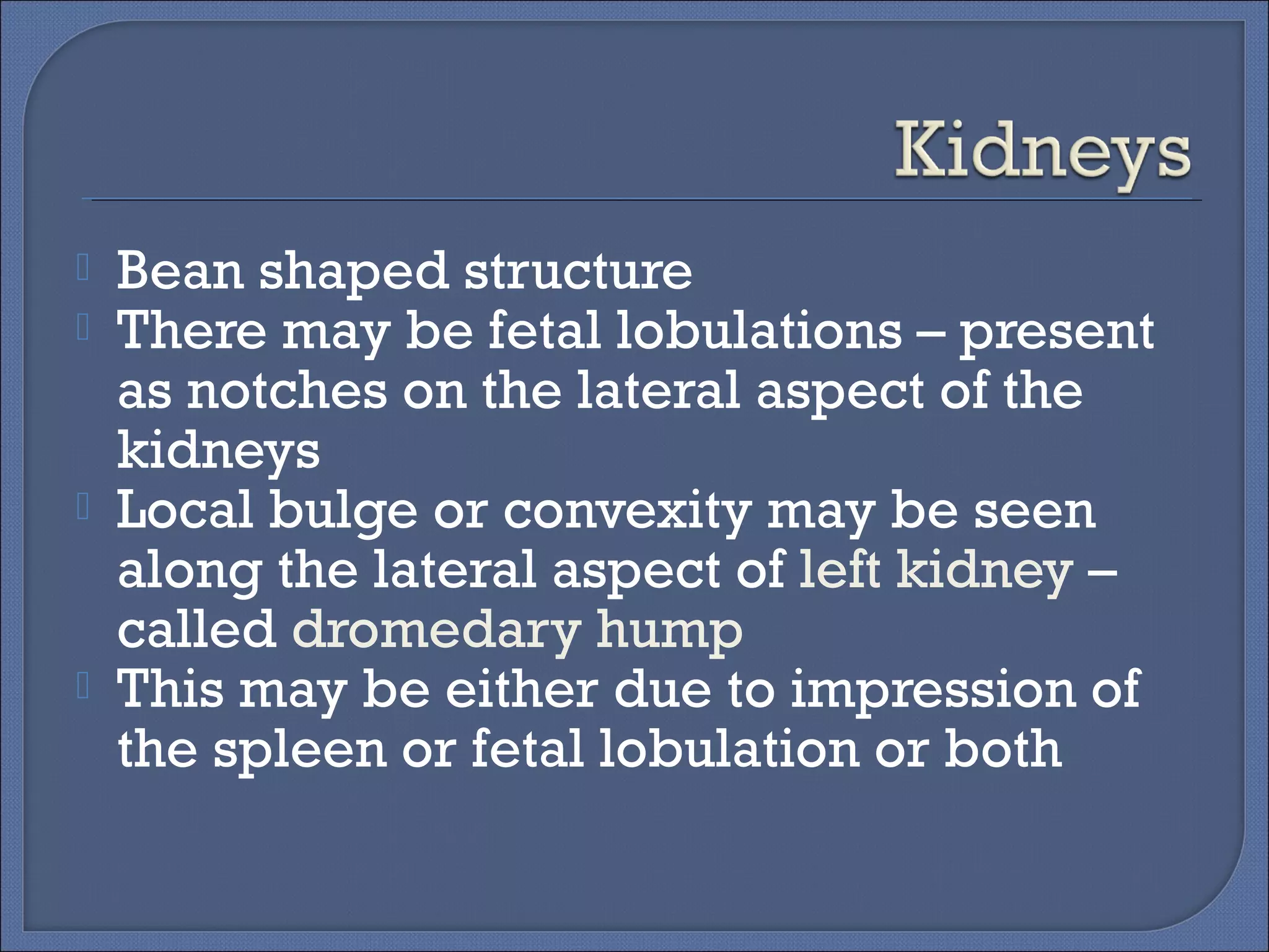 Radiological anatomy of kidney, ureter & bladder | PPT