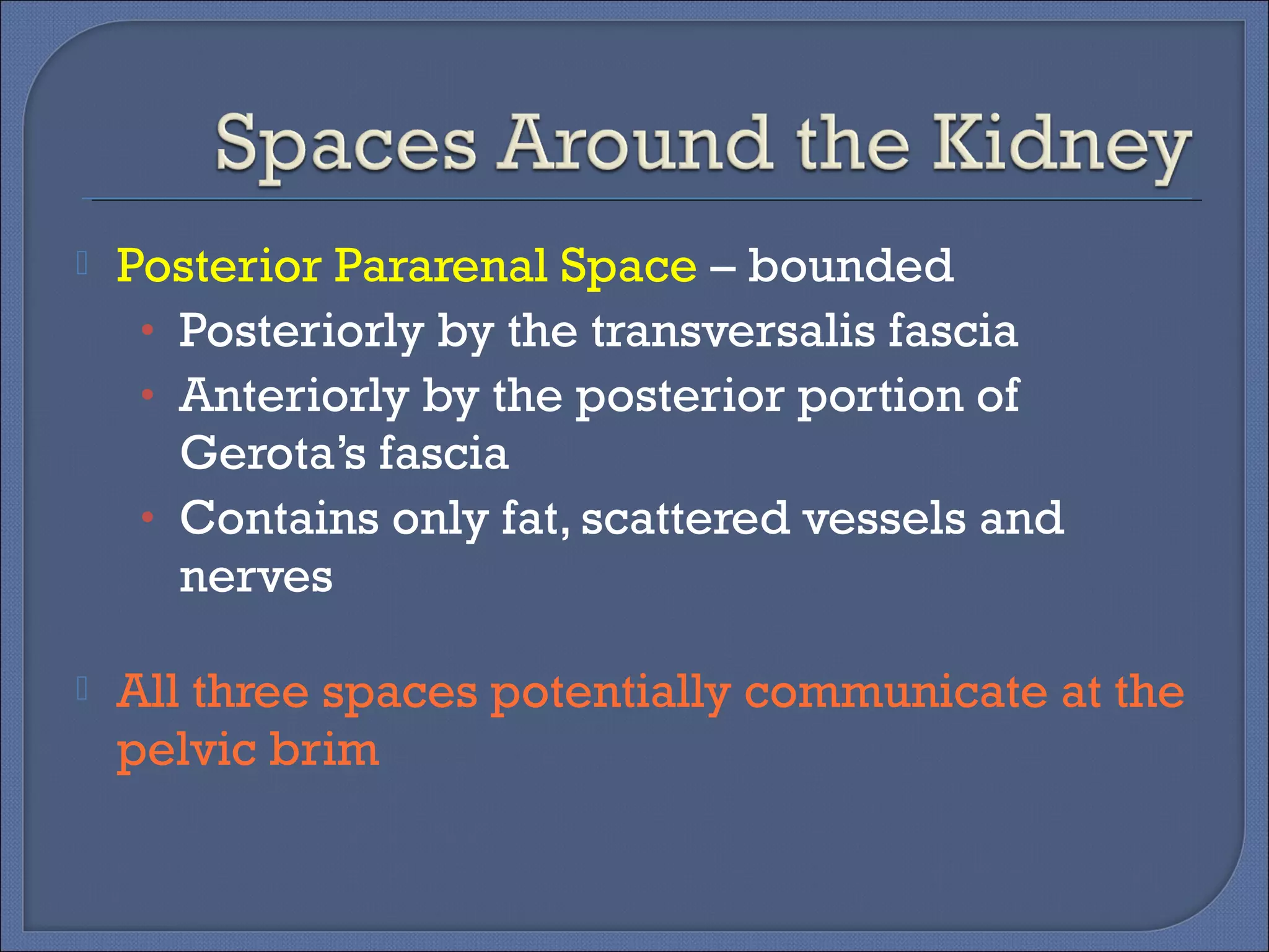 Radiological anatomy of kidney, ureter & bladder | PPT