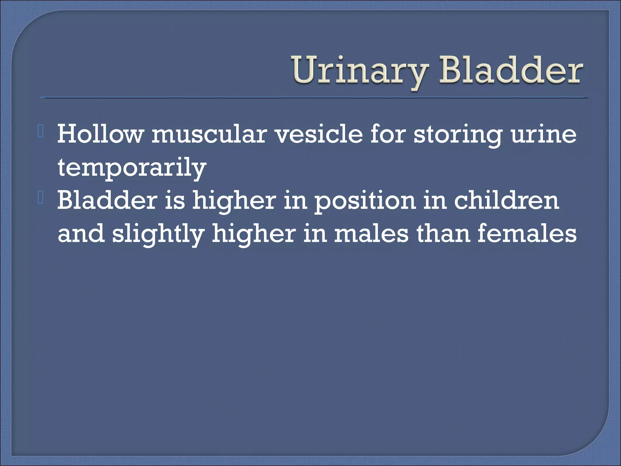Radiological anatomy of kidney, ureter & bladder | PPT
