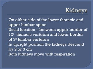 Radiological anatomy of kidney, ureter & bladder | PPT