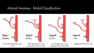 Radiological anatomy of human liver.pptx
