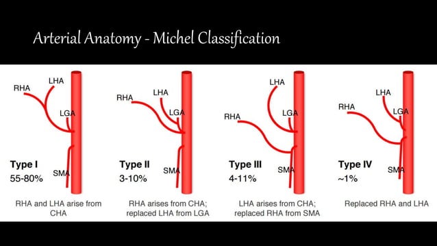 Radiological anatomy of human liver.pptx