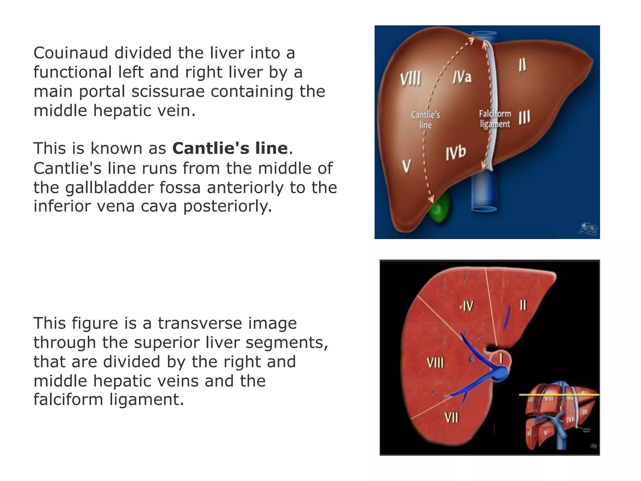 Segmental Anatomy of Liver and its Radiological Correlation | PPTX