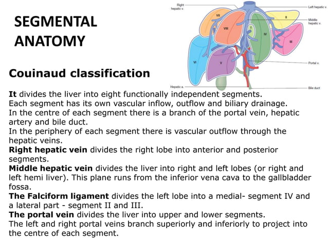 Radiological anatomy of liver segments | PPTX